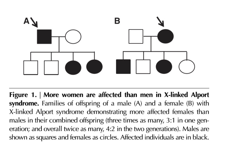 Alport Syndrome | Disease Week | Arkana Laboratories