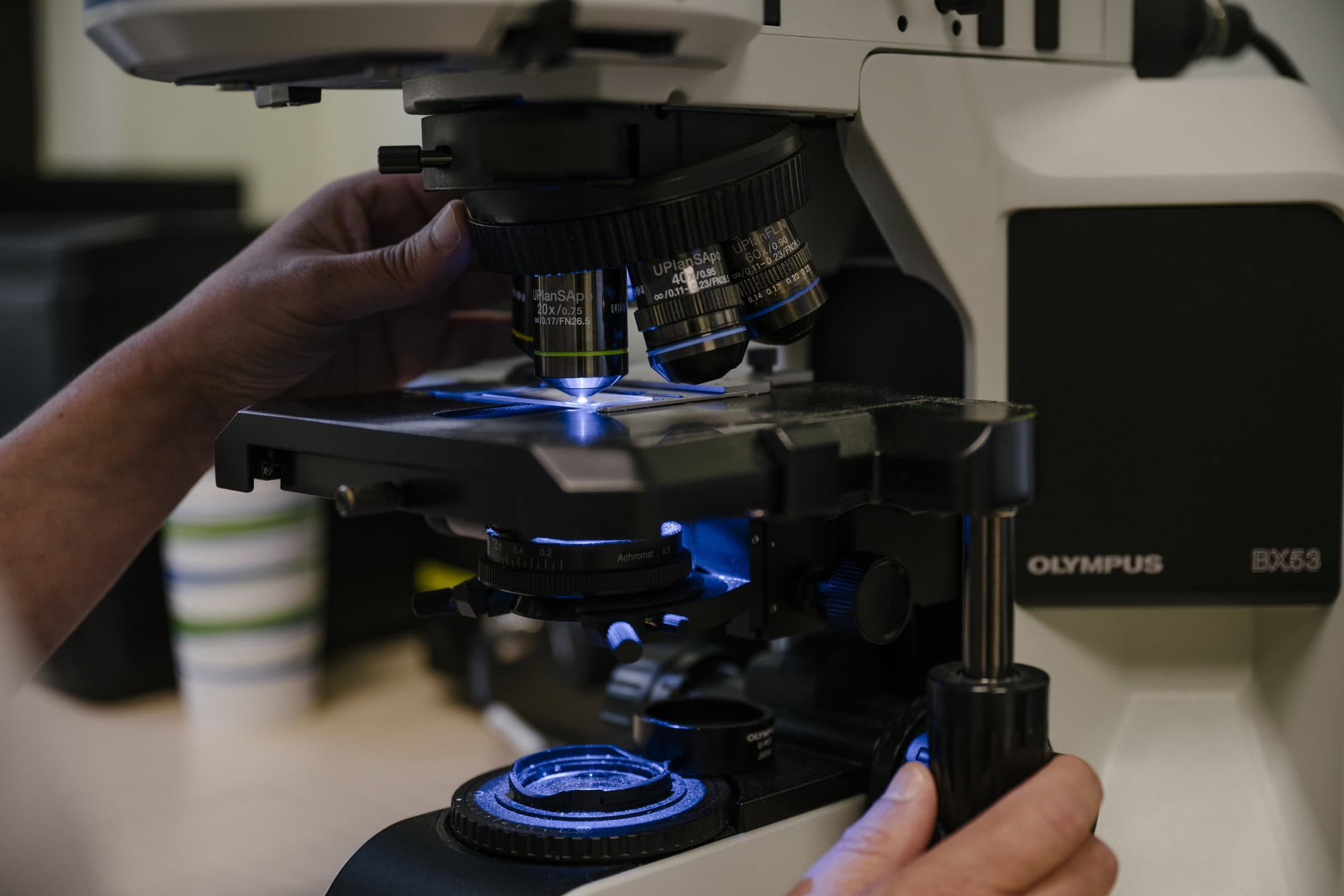 Research Publications - Arkana Laboratories