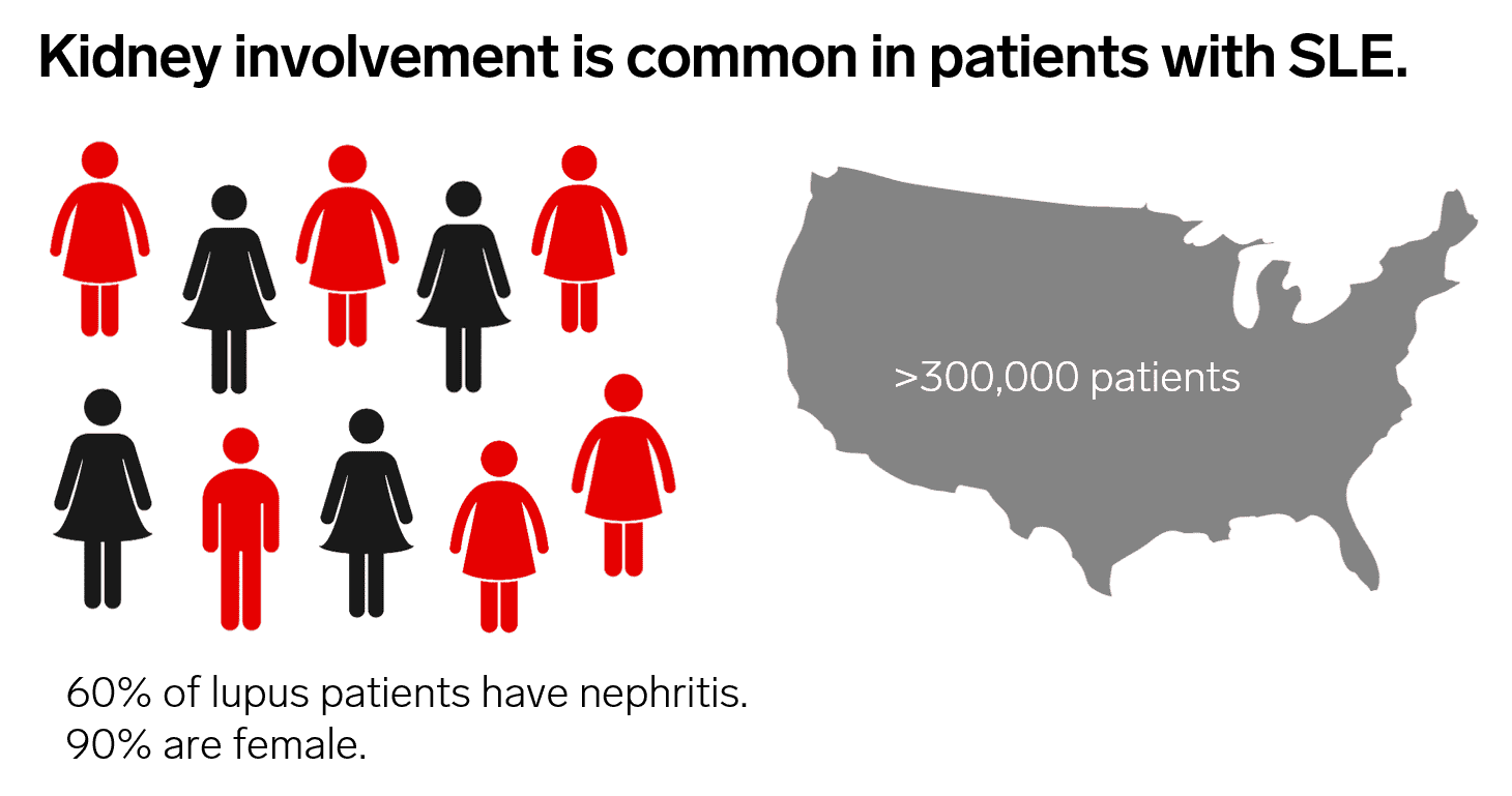 Disease Week: Lupus Nephritis | Arkana Laboratories