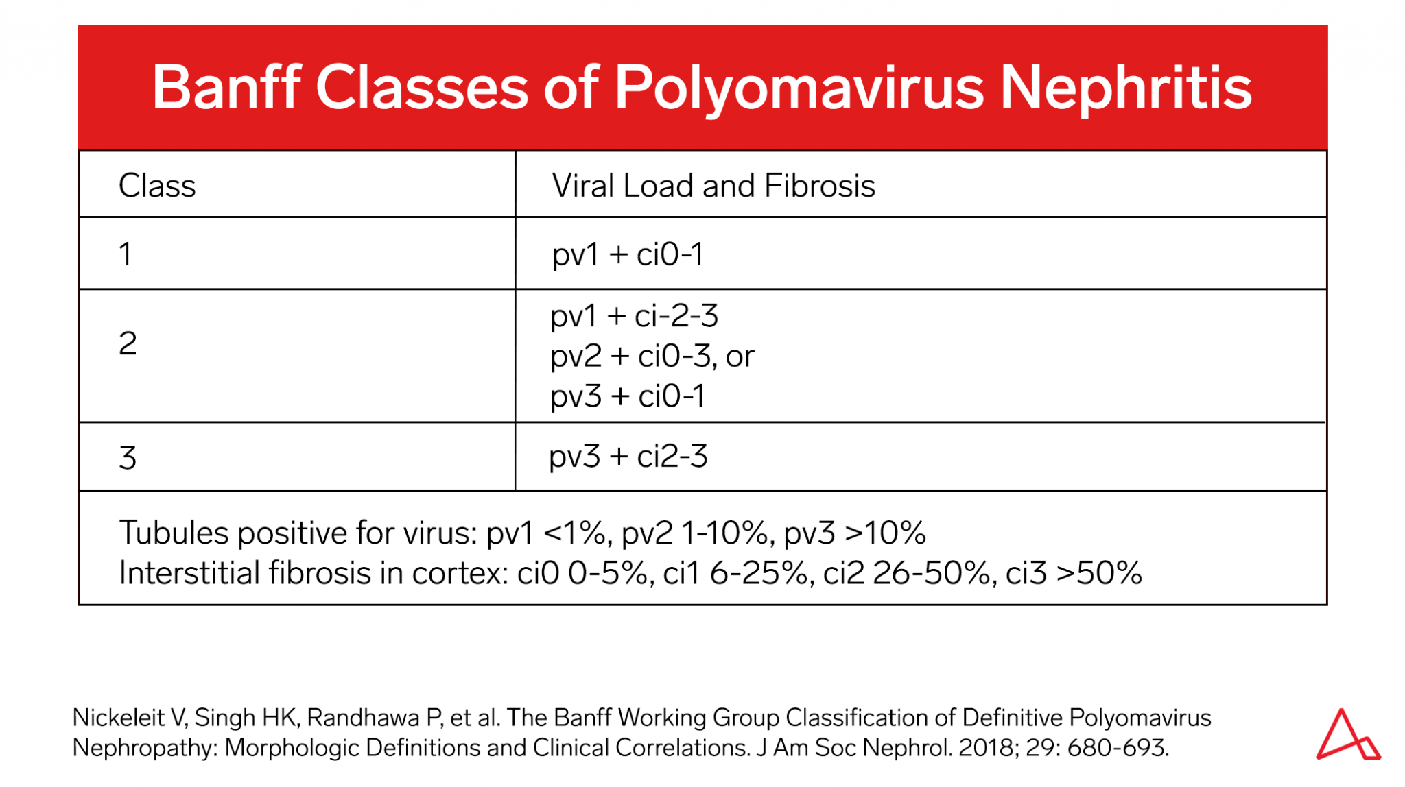 Polyomavirus Nephropathy, PVN Class II | Banff and Beyond