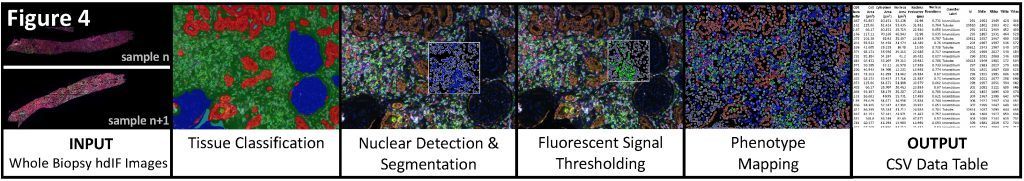 Multiplex Imaging Center - Arkana Laboratories