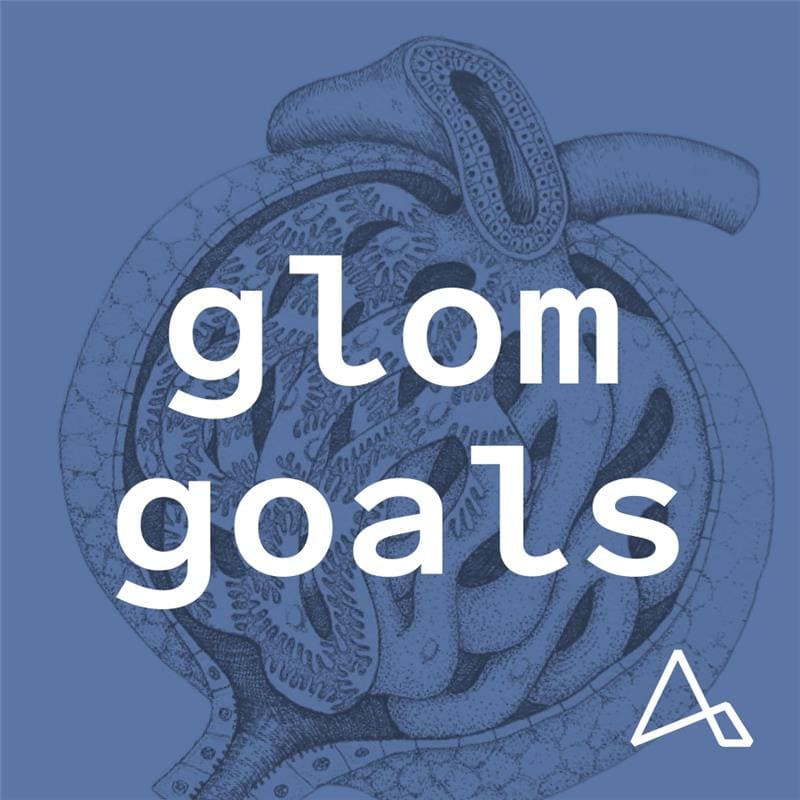 Glom Goals: A Blueprint for Better Renal Biopsies - Arkana Laboratories
