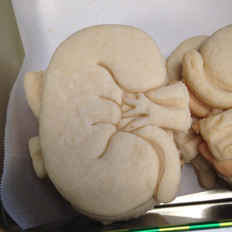 Homemade Kidney Cookies | Arkana Visualized | Arkana Laboratories