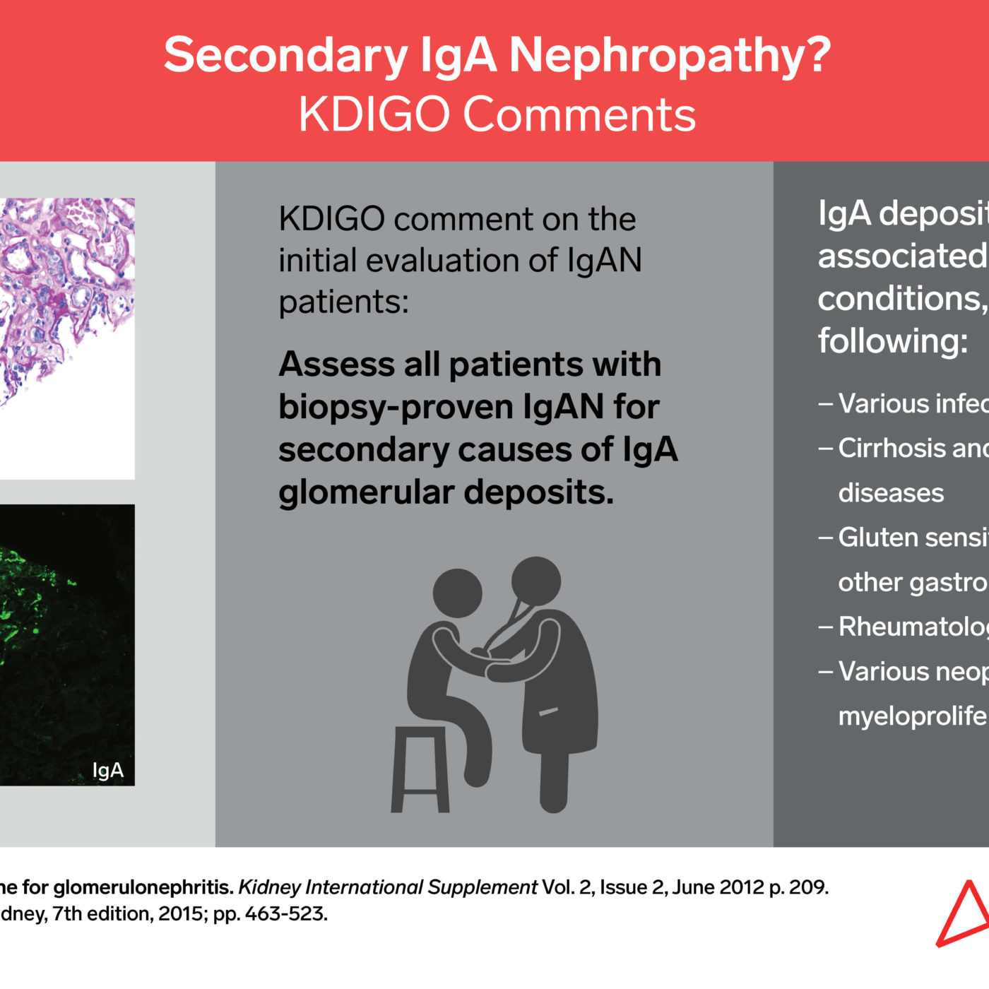Crescentic IgA Nephropathy | KDIGO Connections | Arkana Laboratories